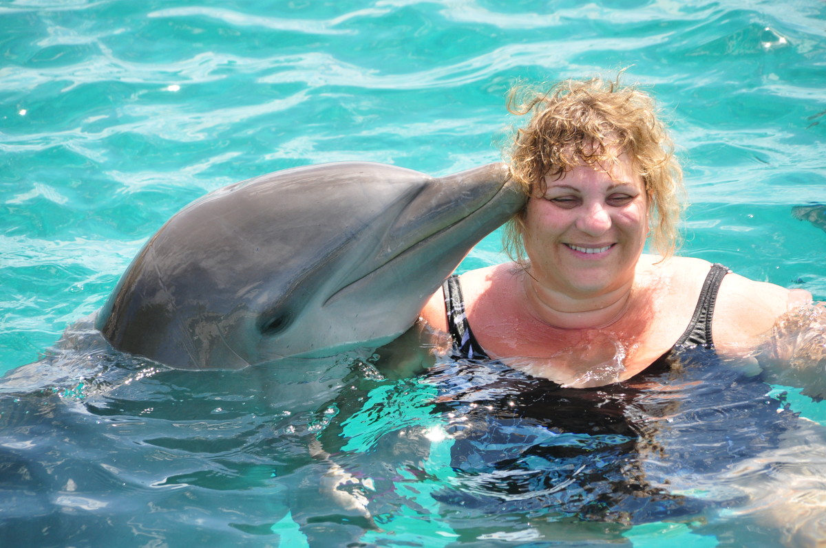 Dolphins: Preserve, Protect and the Basics - HubPages