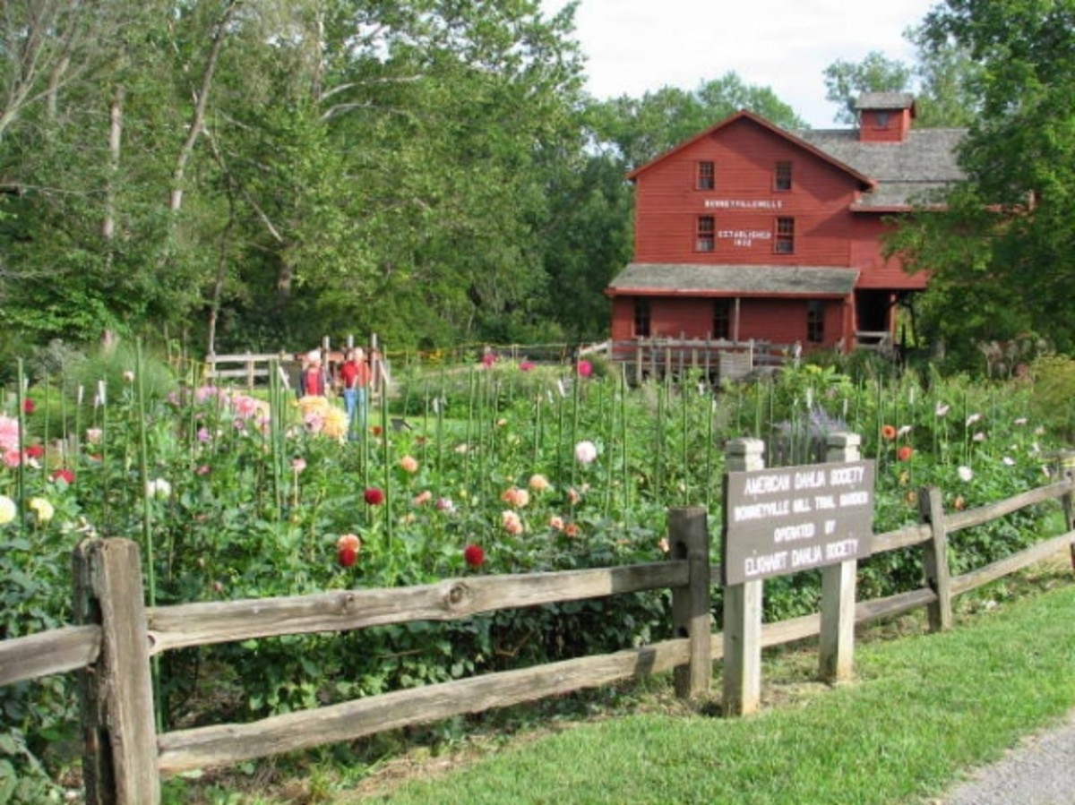 Bonneyville Mill - Bristol, Indiana - HubPages