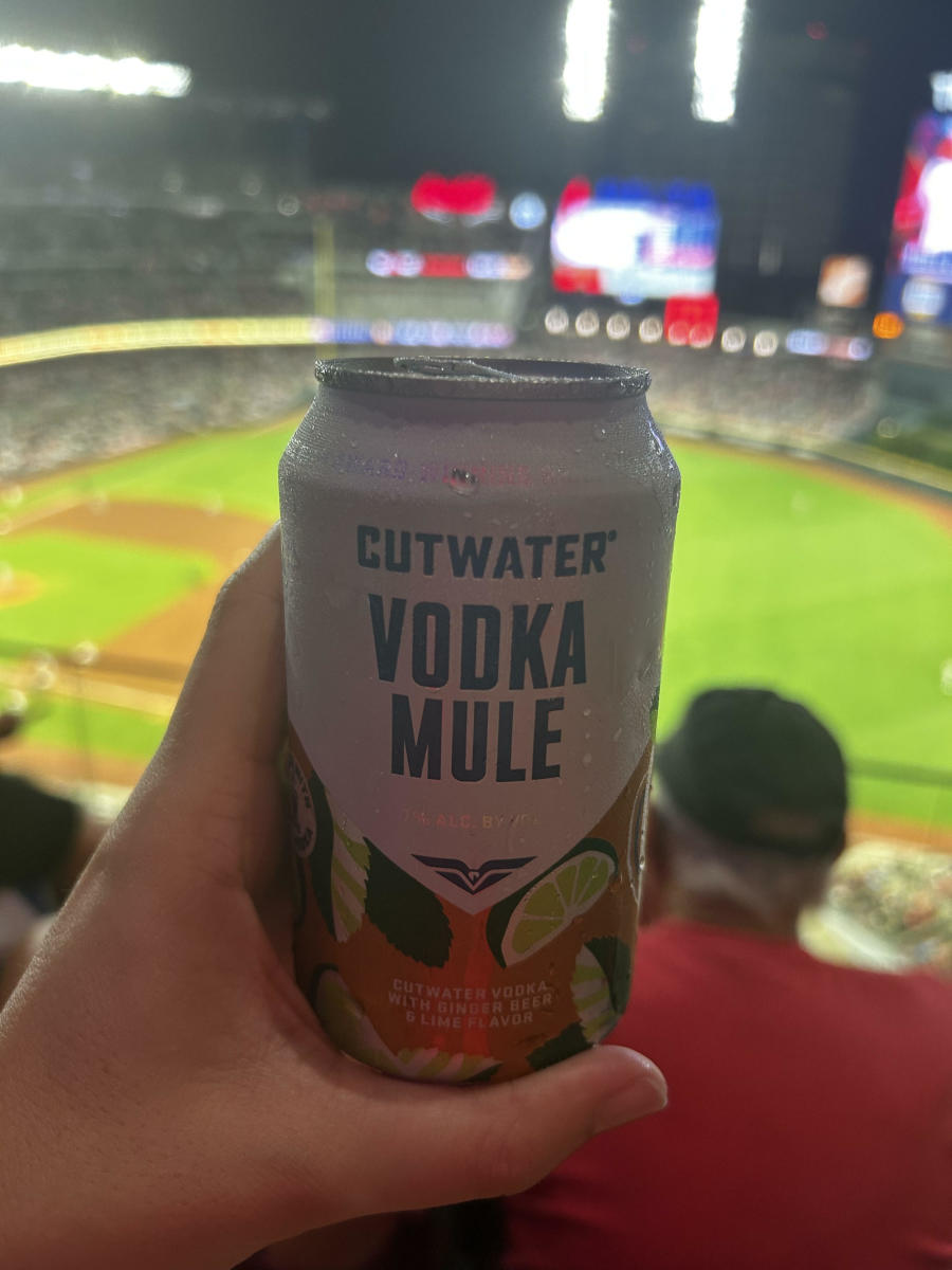 Everything Consumed at the Braves Game! - HubPages