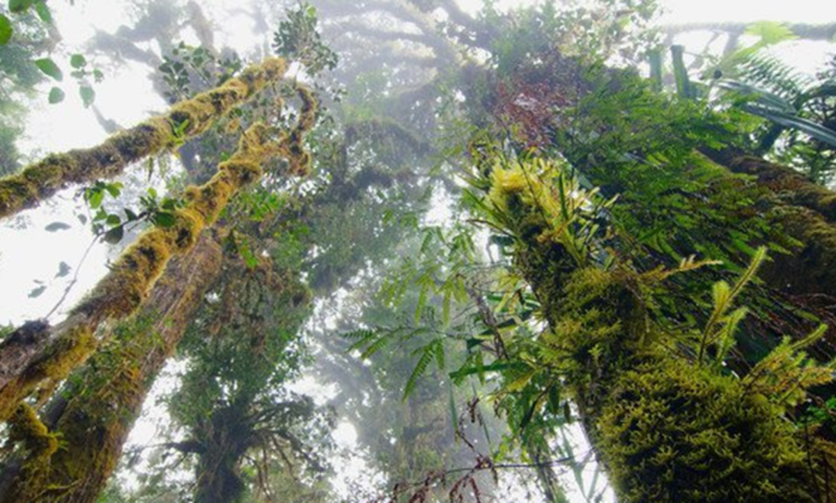 Best Places From Papua New Guinea That Are Definitely Mind-Blowing ...