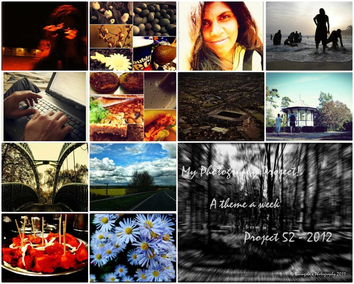 A Theme a Week Photography - Project 52 - 2012 - HubPages
