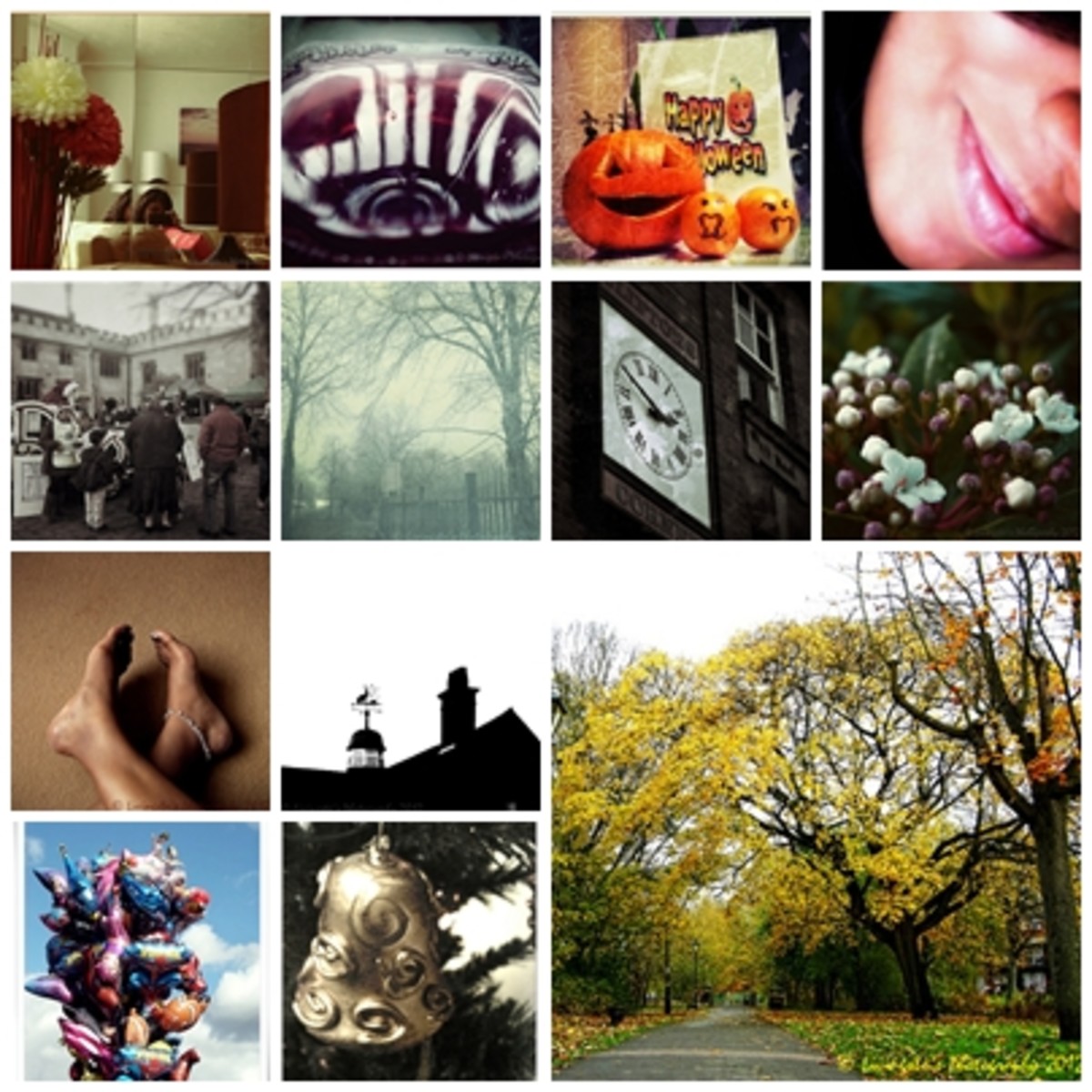 A Theme a Week Photography - Project 52 - 2012 - HubPages