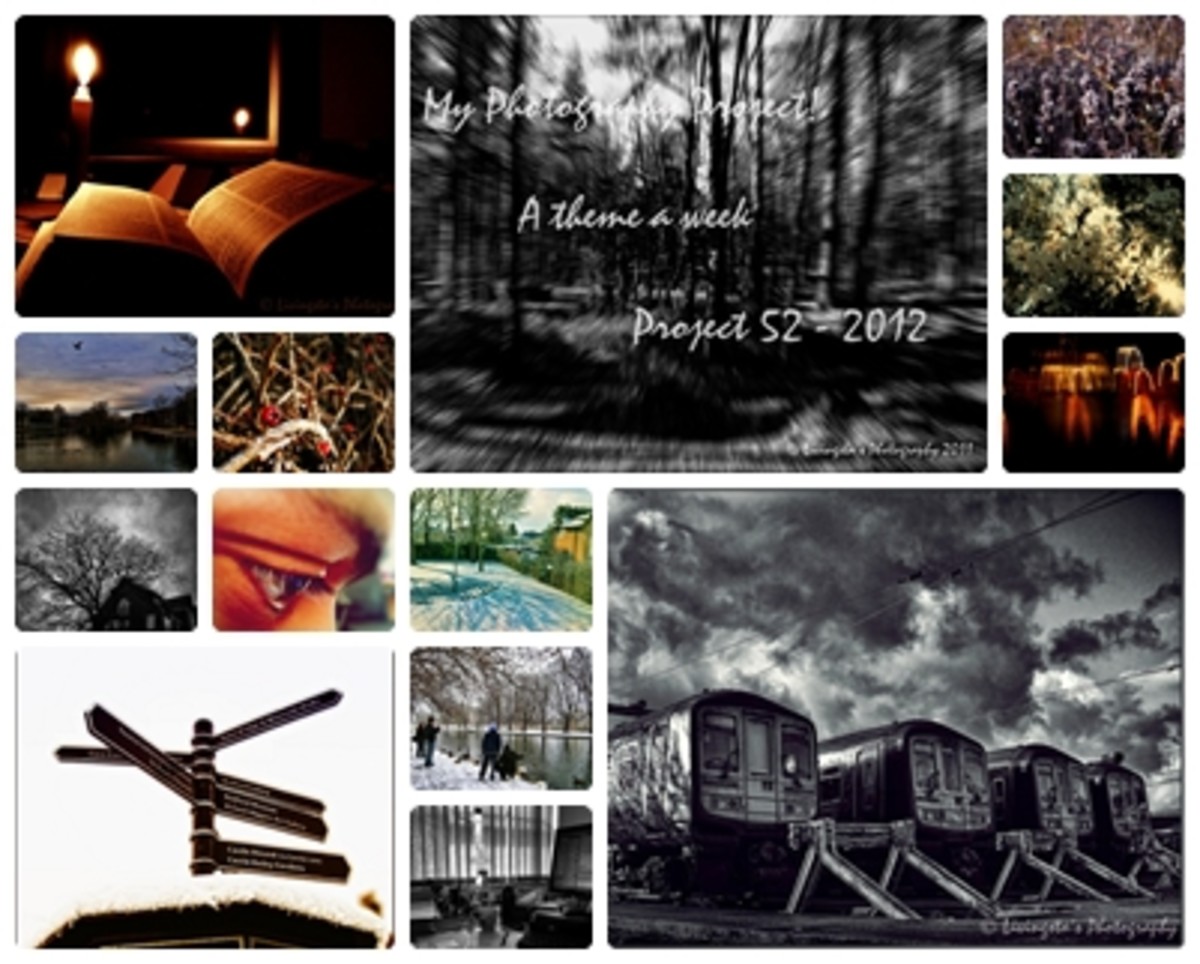 A Theme a Week Photography - Project 52 - 2012 - HubPages