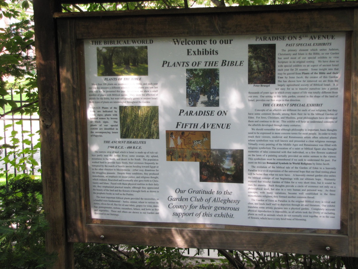 See The Rodef Shalom Biblical Botanical Garden - HubPages