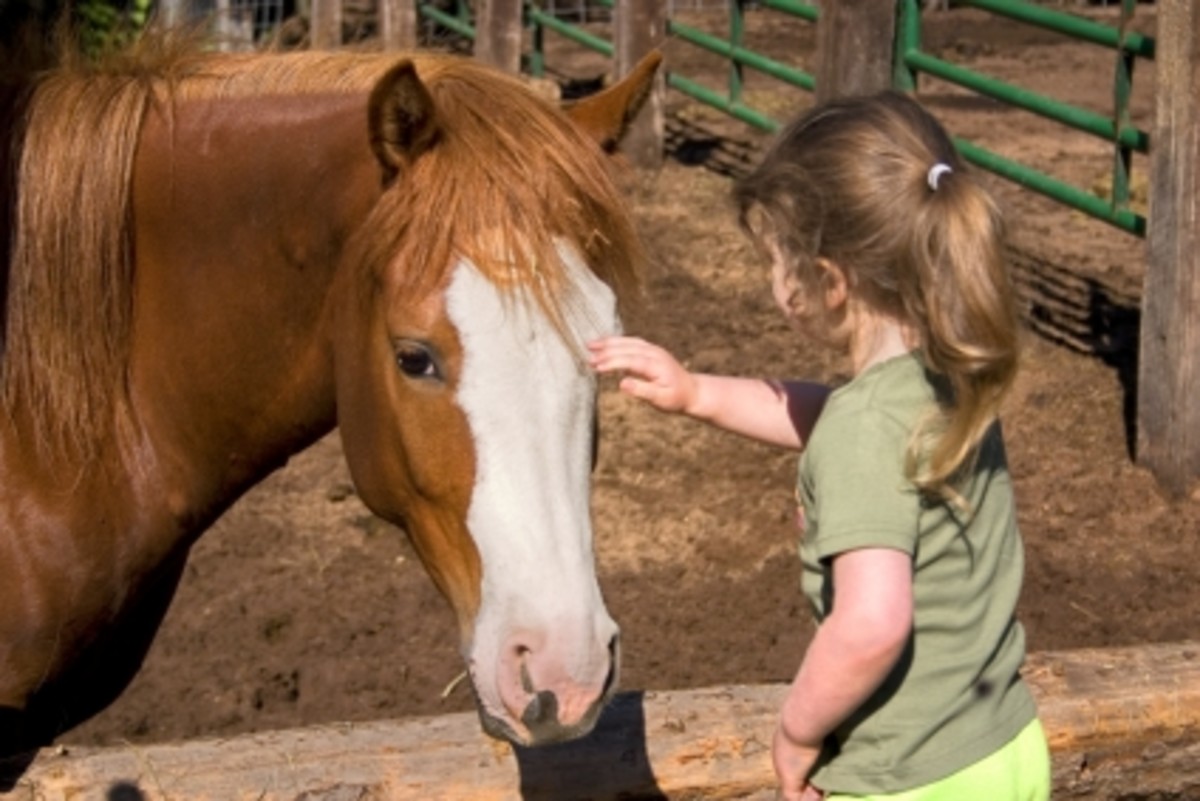 Hippotherapy - Healing Children with Horses - HubPages