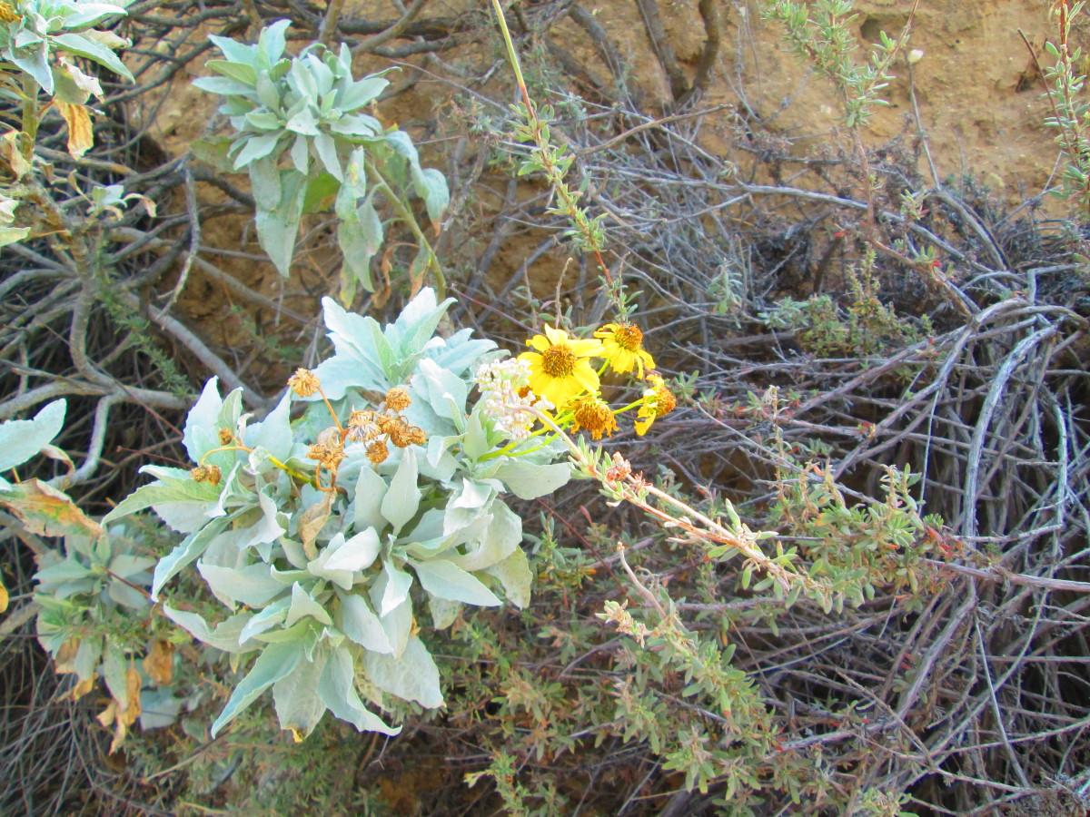 Hiking at Hulda Crooks Park - HubPages