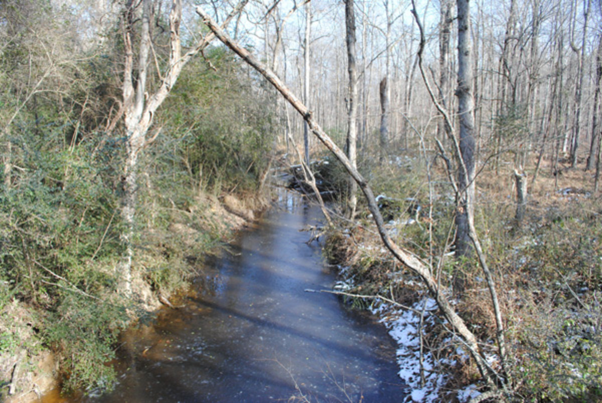 Lust for Gold and the Genocide of Native Americans - HubPages