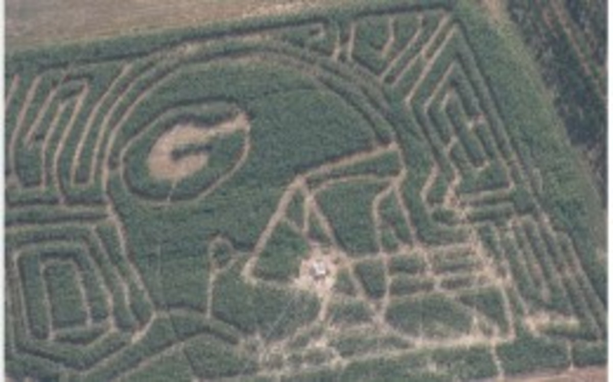 Fun Activities For Kids - Rutland Farms - HubPages