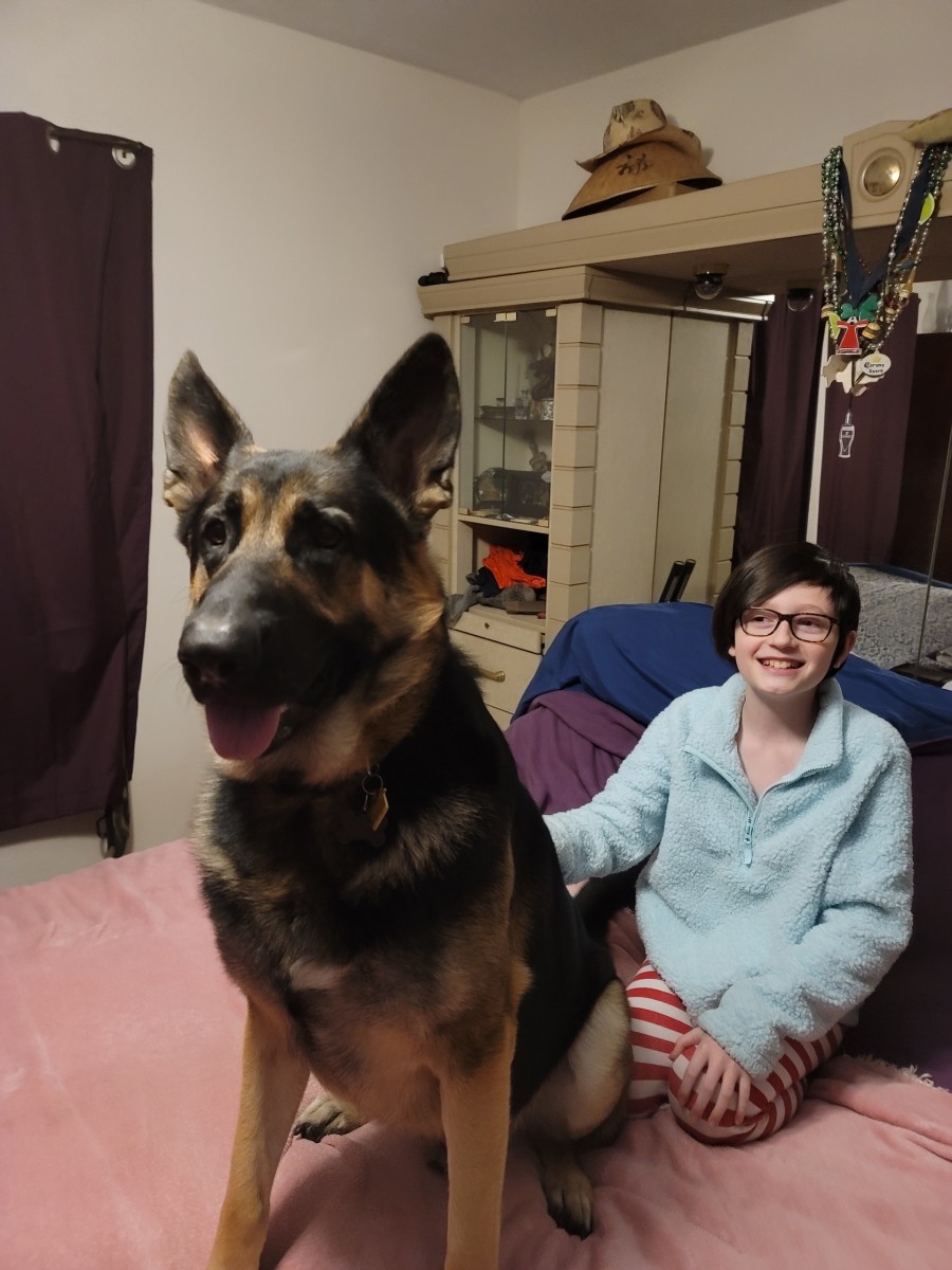 Pickles, A Wonder Pup - HubPages