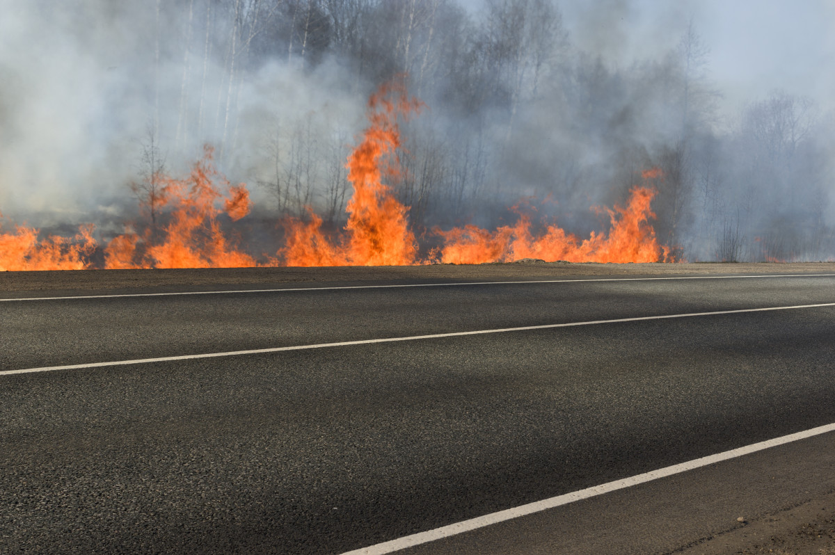 Cars Drive Through Flames on the Highway in Argentina After Bus Catches ...