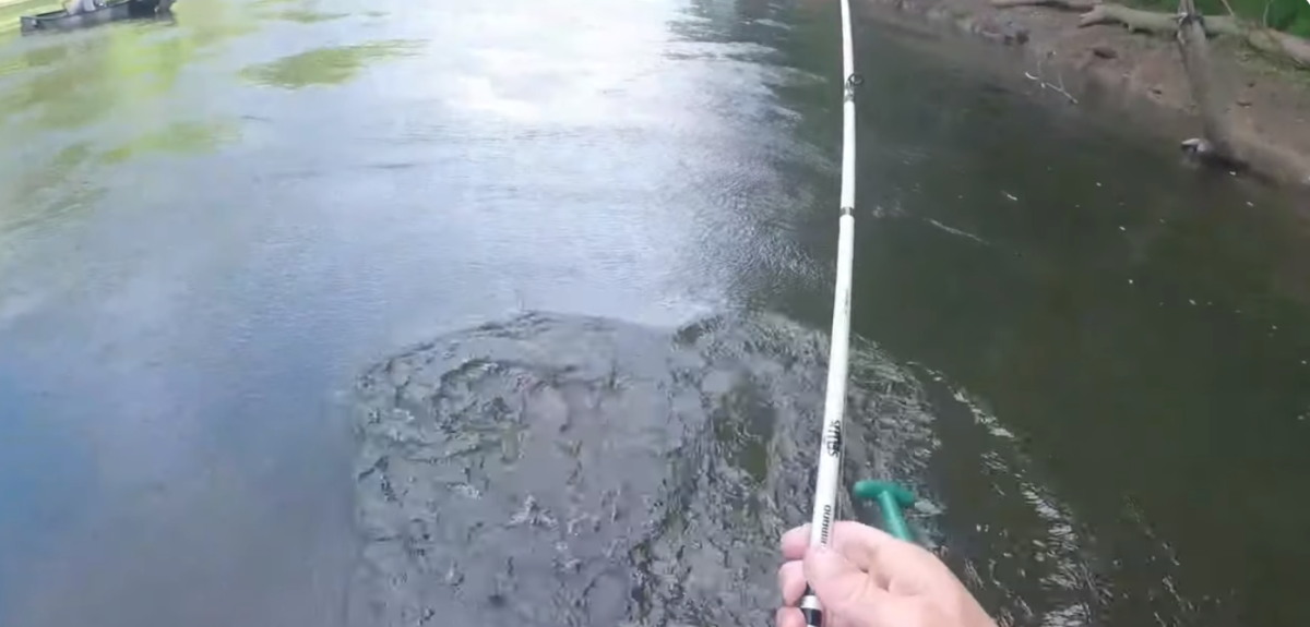 Don't Be a Victim of Catfishing - HubPages