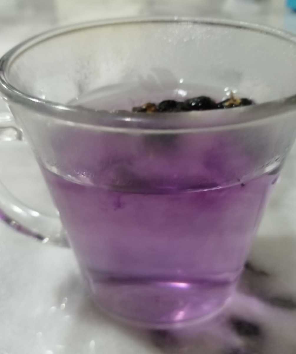 Health Benefits of Black Wolfberries - HubPages