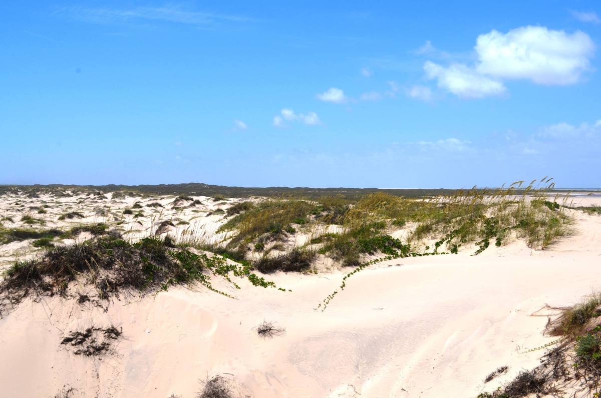 John Singer and the Lost Treasure of Padre Island - HubPages