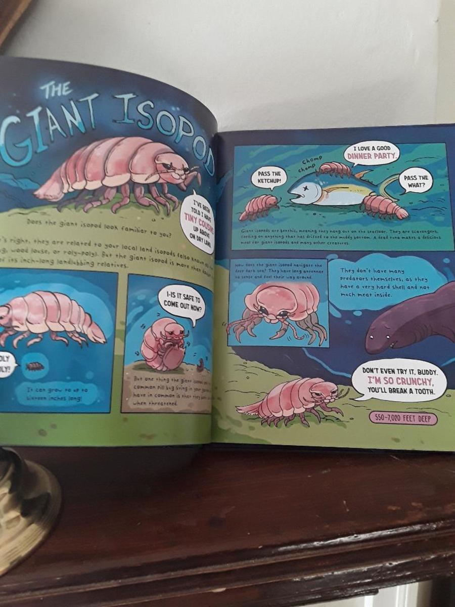 Sea Creatures At the Depths of the Ocean in Creative and Educational ...