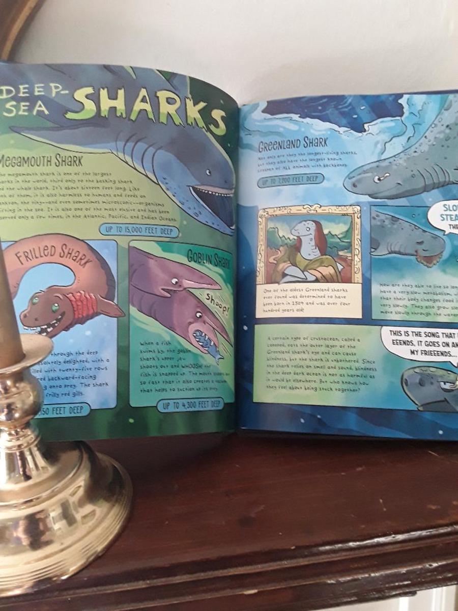 Sea Creatures At the Depths of the Ocean in Creative and Educational ...