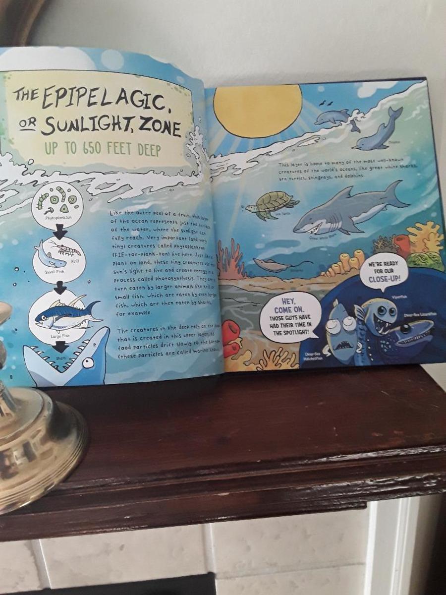 Sea Creatures At the Depths of the Ocean in Creative and Educational ...