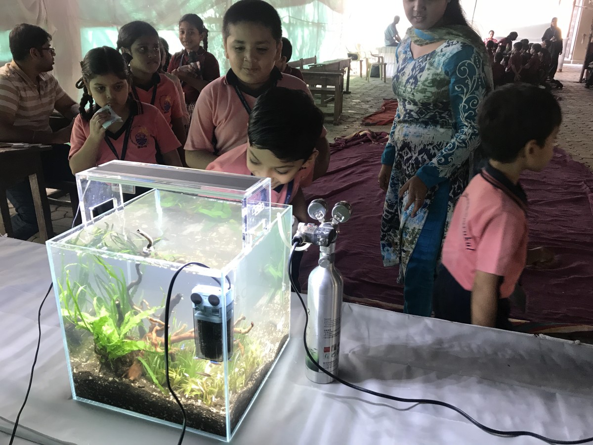 Turning Passion into Profit: 7 Ways to Monetize Your Aquarium Hobby ...