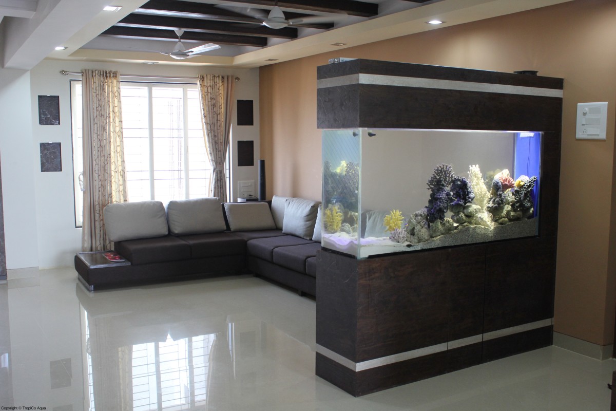 Turning Passion into Profit: 7 Ways to Monetize Your Aquarium Hobby ...