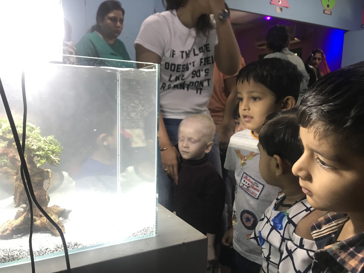 Turning Passion into Profit: 7 Ways to Monetize Your Aquarium Hobby ...