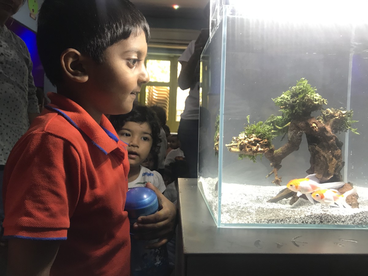 Turning Passion into Profit: 7 Ways to Monetize Your Aquarium Hobby ...