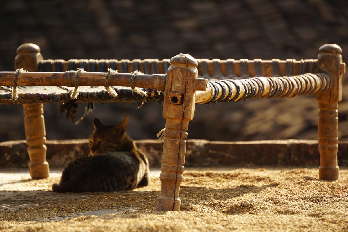 Bed Items Name in Punjabi - HubPages