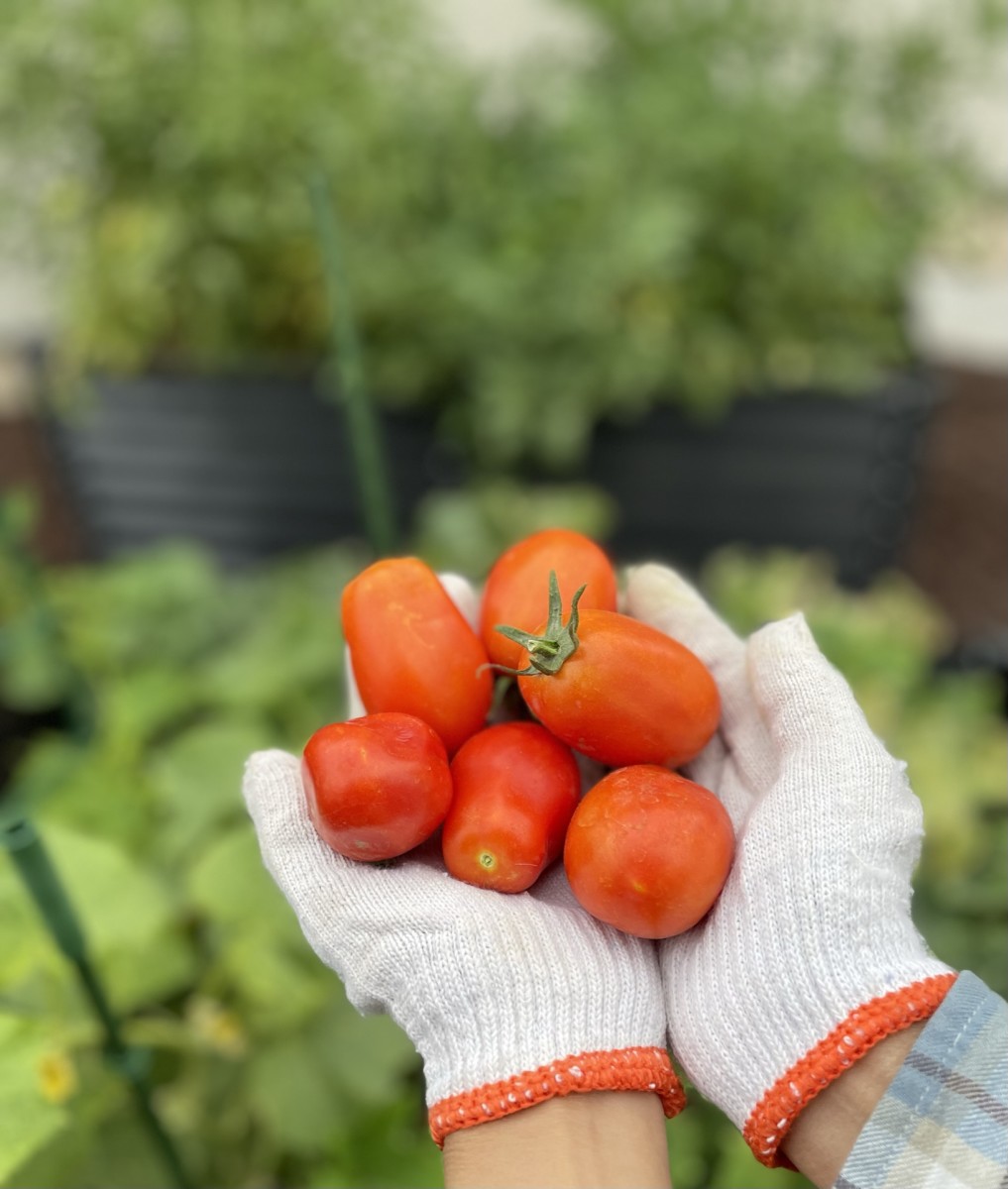September is National Organic Harvest Month - HubPages