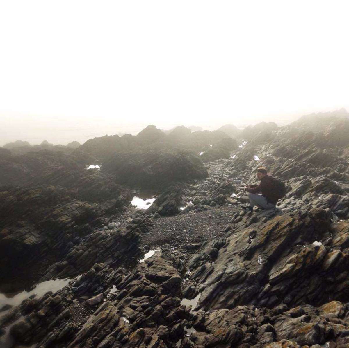 The Top 10 Most Common Foraging Mistakes and How to Avoid Them - HubPages