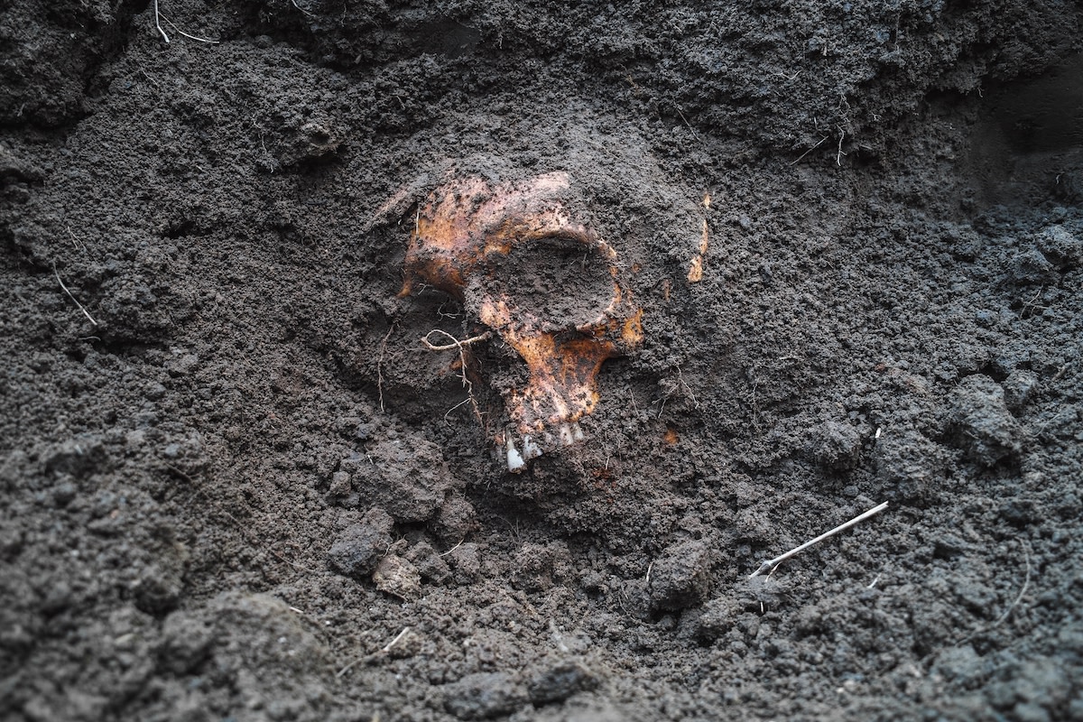 There Was a Time the Human Race Nearly Went Extinct - HubPages