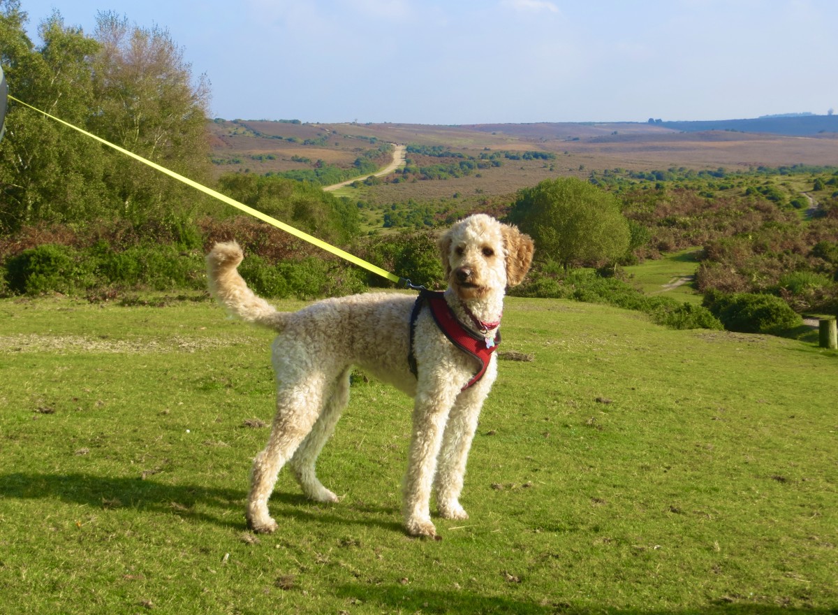 Ley Lines—Ancient Sat-Nav or Spiritual Energy Pathways? - HubPages