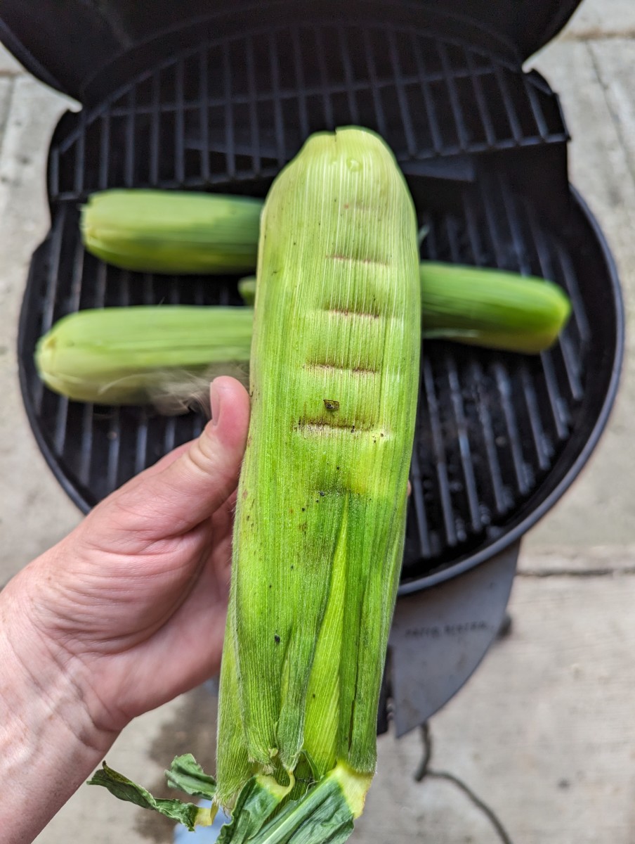 Sweet Corn Hard Grilled with Husks On - HubPages