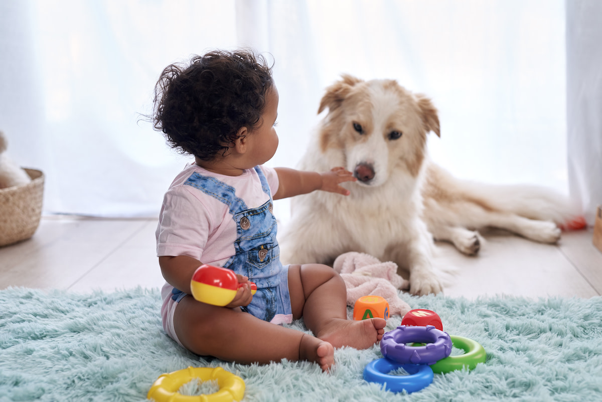 Mom Uses Video to Remind Parents to Watch Dog’s Body Language Around ...