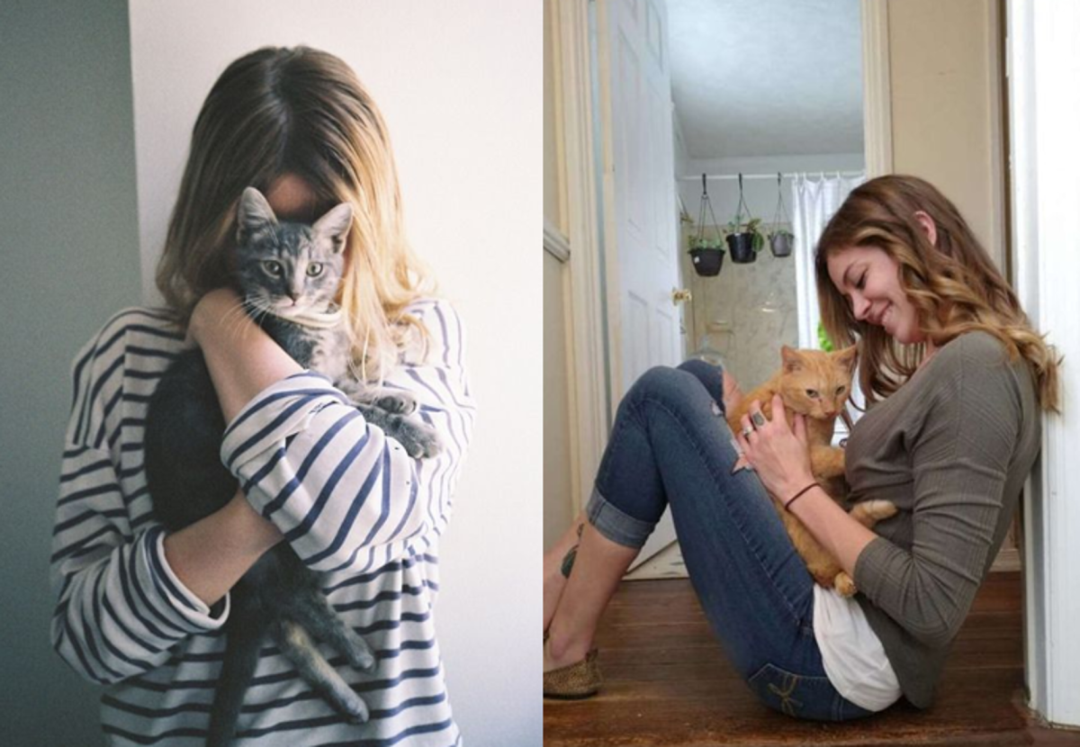 11 Benefits of Owning a Cat - HubPages