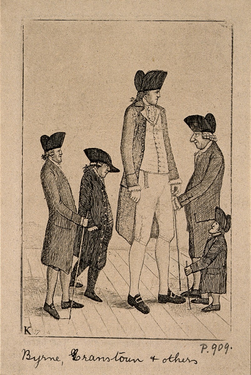 10 Fantastic Facts About Giants - HubPages