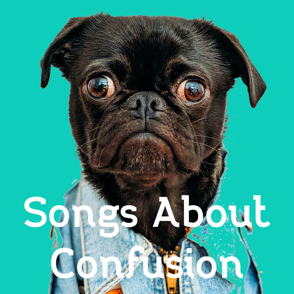 60 Songs About Being Confused - HubPages