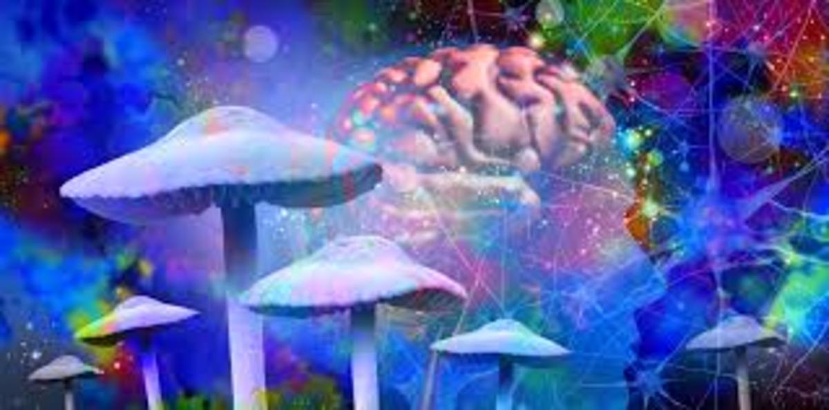 Psychedelic Drugs Used to Treat Depression, Anxiety, and Alcohol and ...