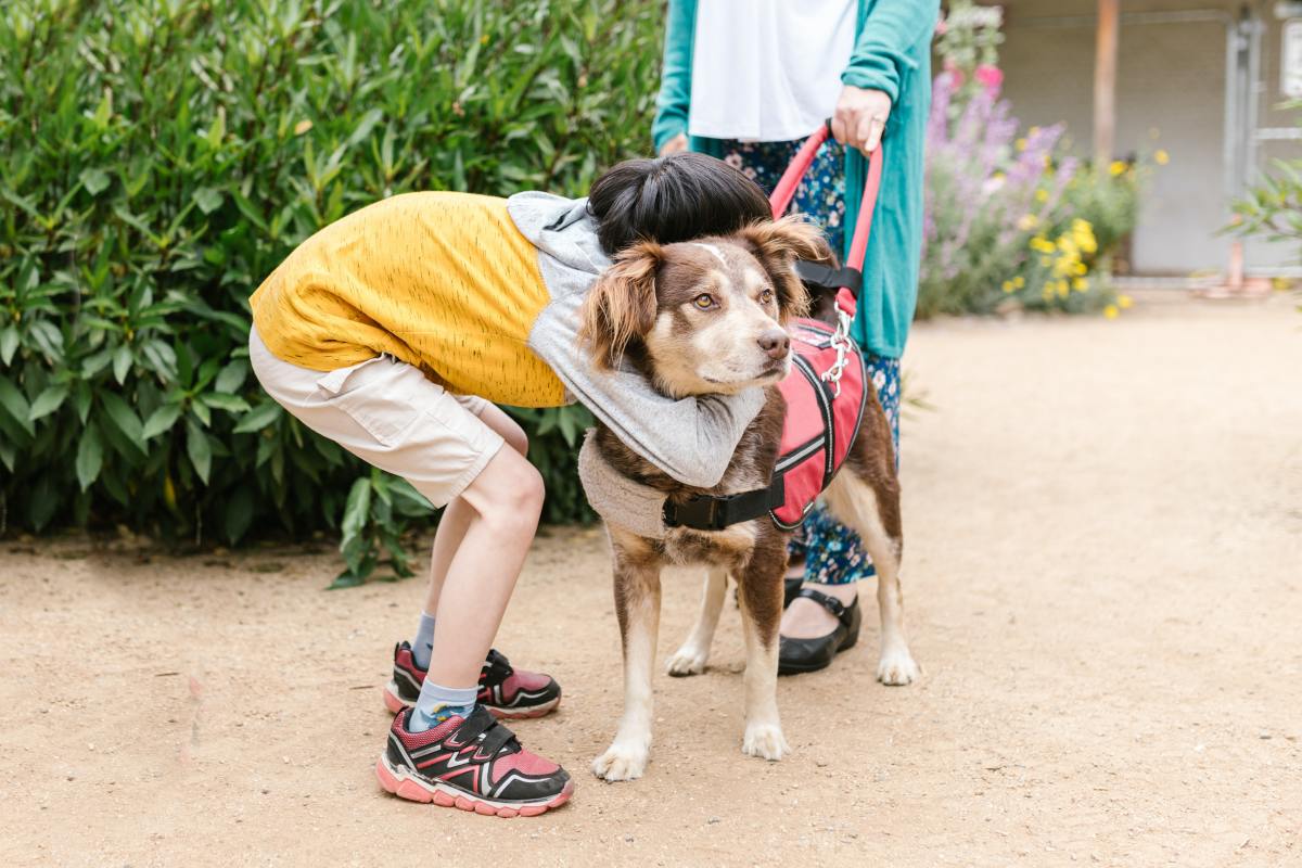 Unlocking Connections: How Canine Companions Empower Autistic Children ...