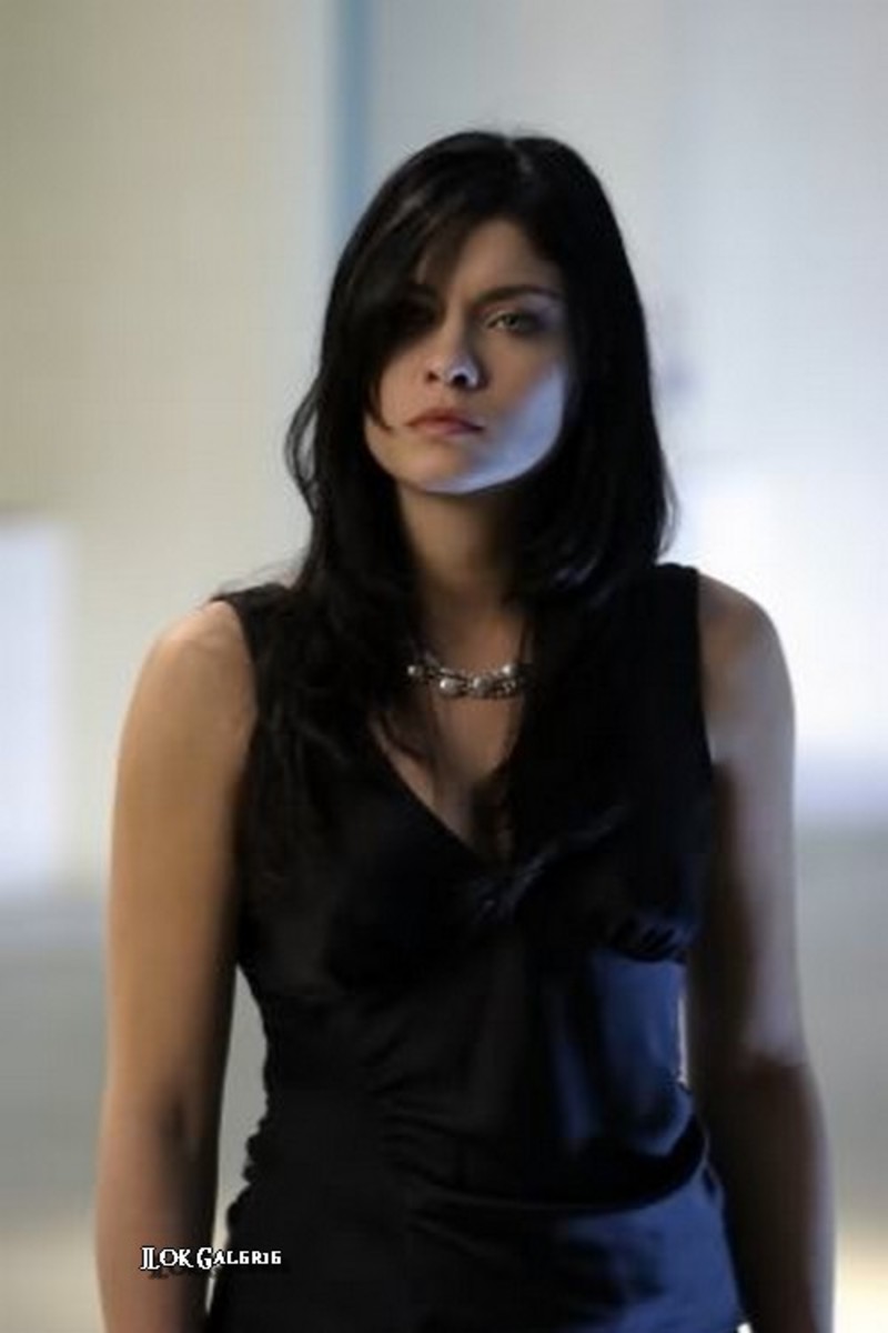 Sitcom Serial Daters Part 4—Charlie Harper - HubPages