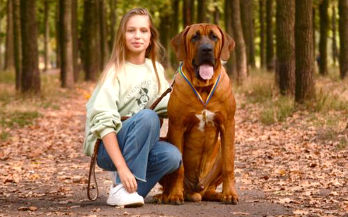 The 11 Largest Dogs From Asian Countries - HubPages