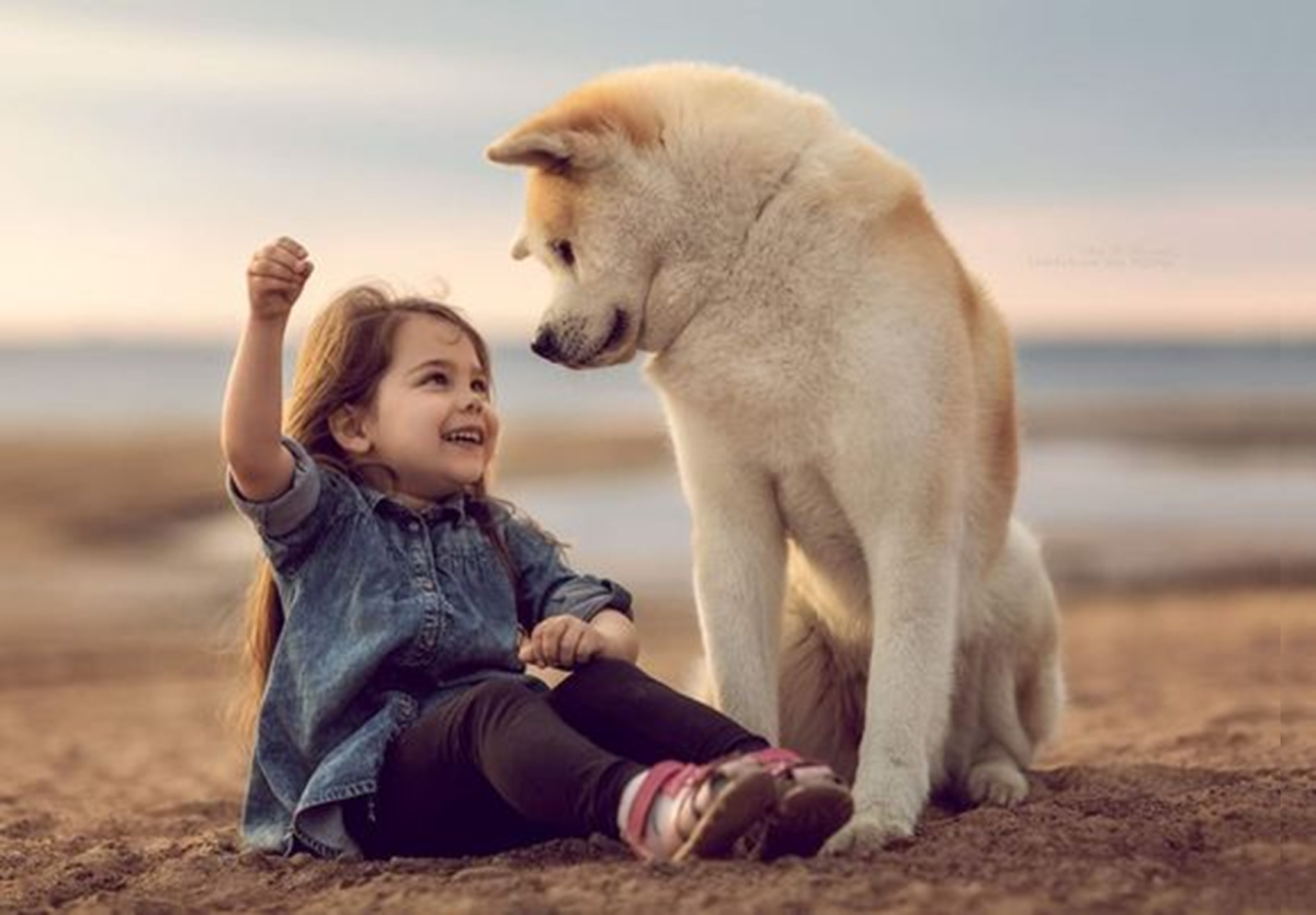 The 11 Largest Dogs From Asian Countries - HubPages