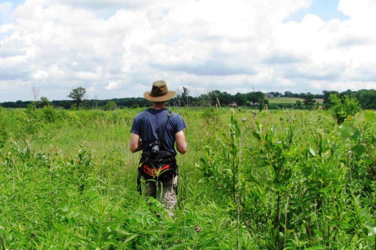 Michigan's Endangered Species - HubPages