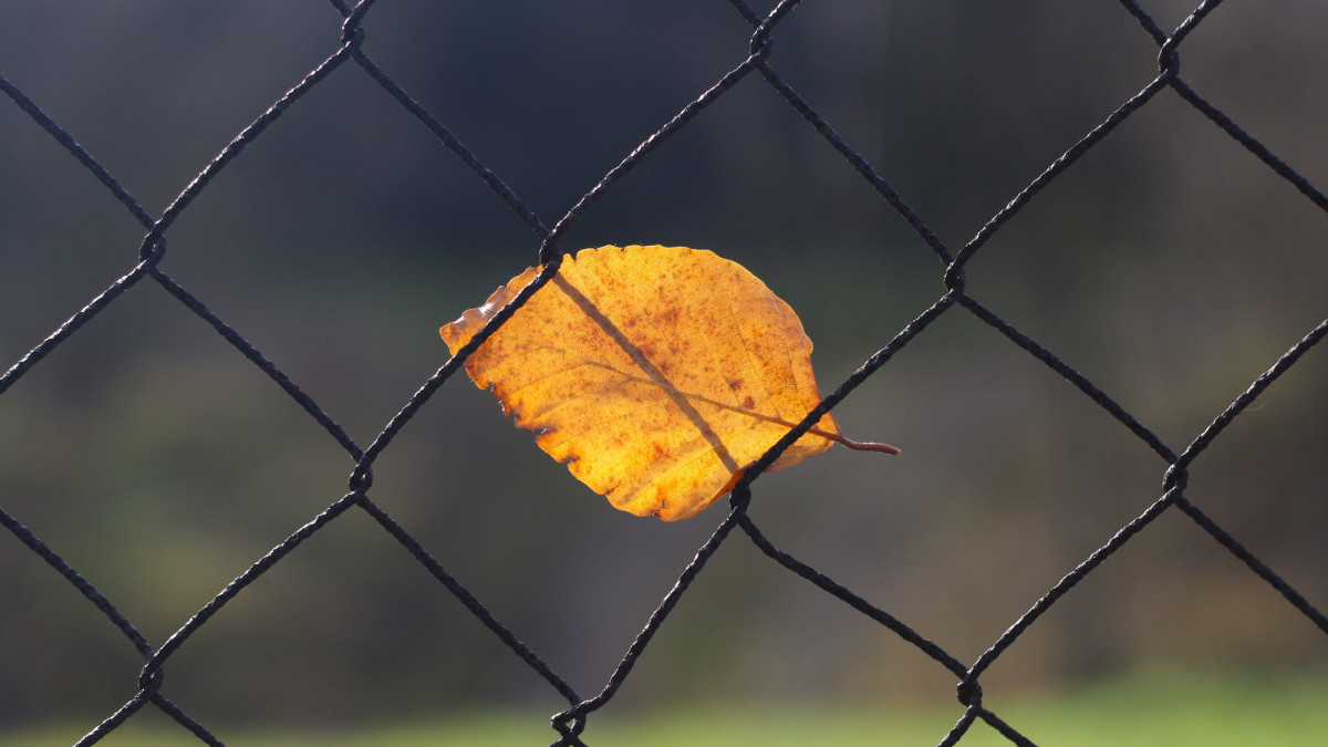 What Is a Cyclone Fence? - Dengarden