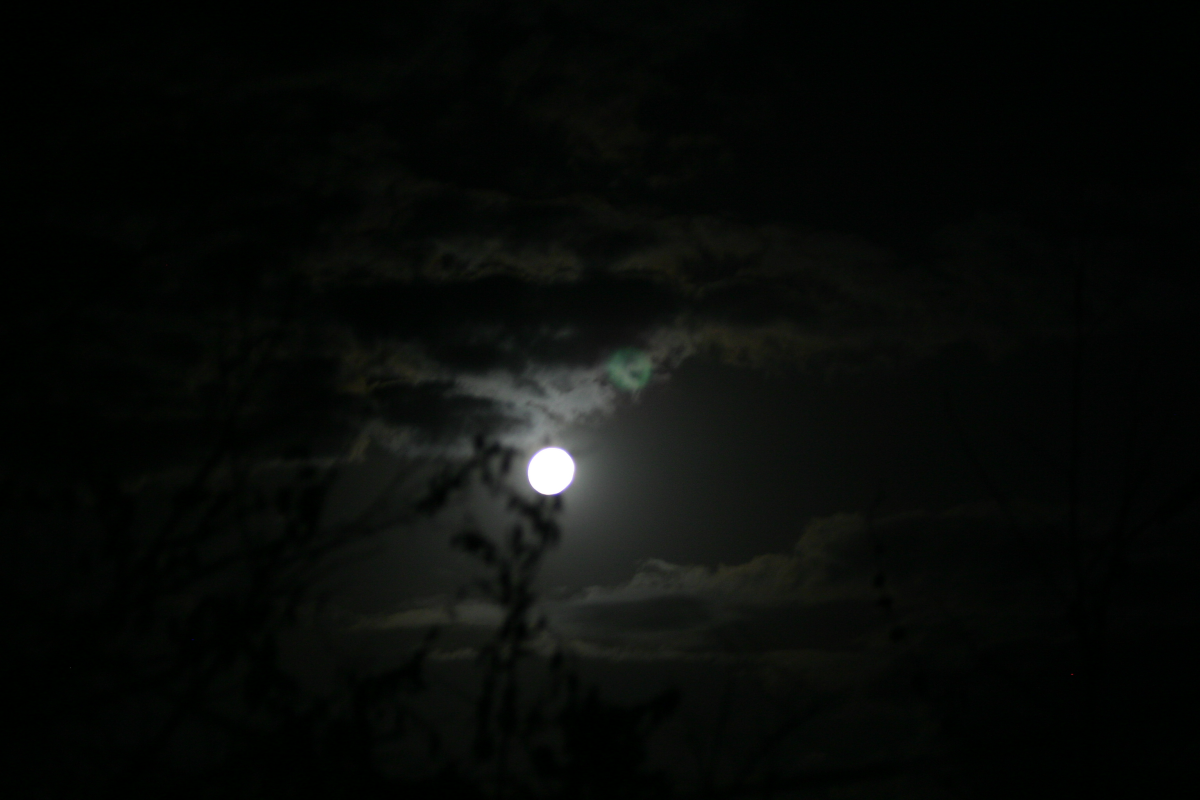 Orbs in Photographs - HubPages