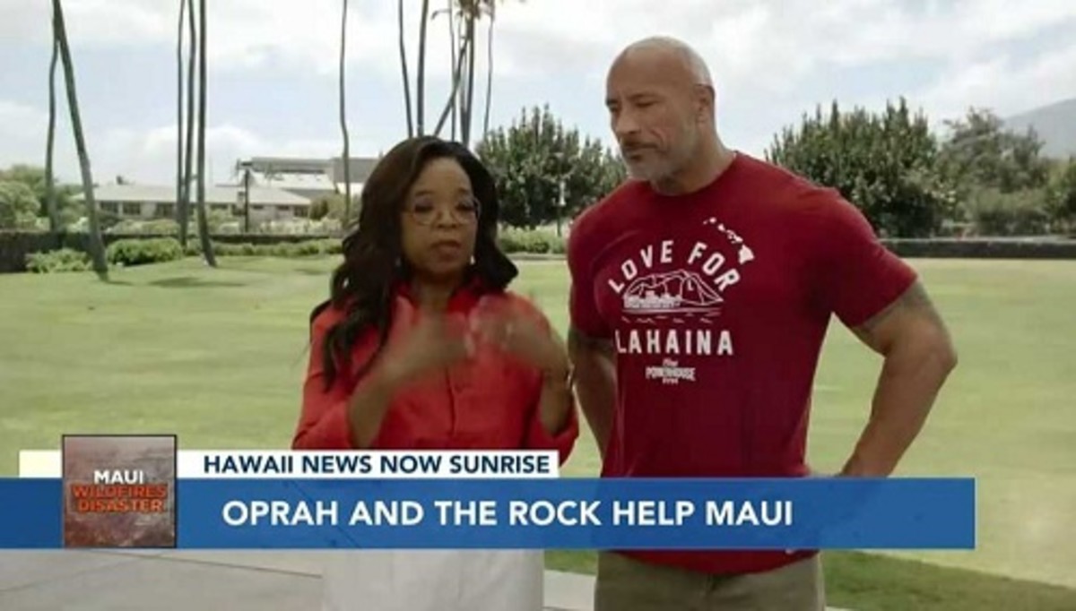 The aftermath of the Maui wildfire and the restoration of the land ...