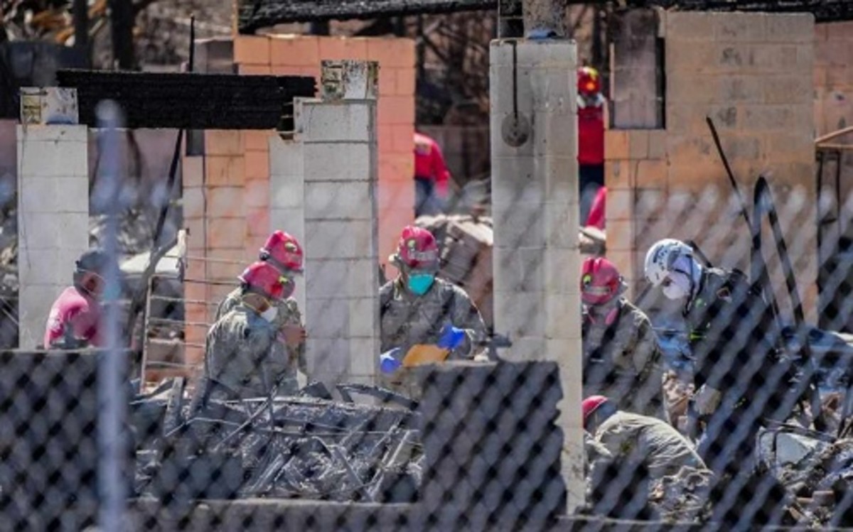 The aftermath of the Maui wildfire and the restoration of the land ...