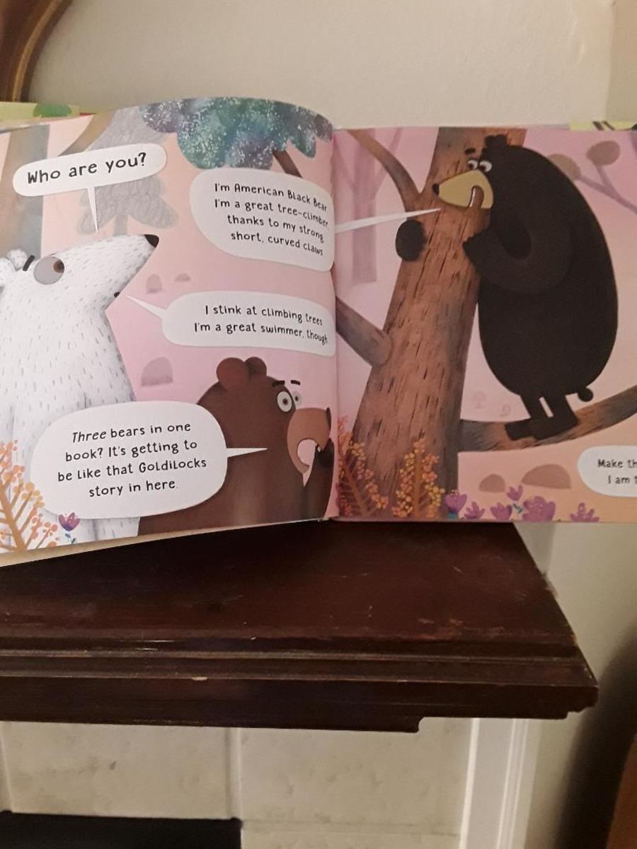 Bear Facts in Creatively Written Non-Fiction Picture Book for Young ...