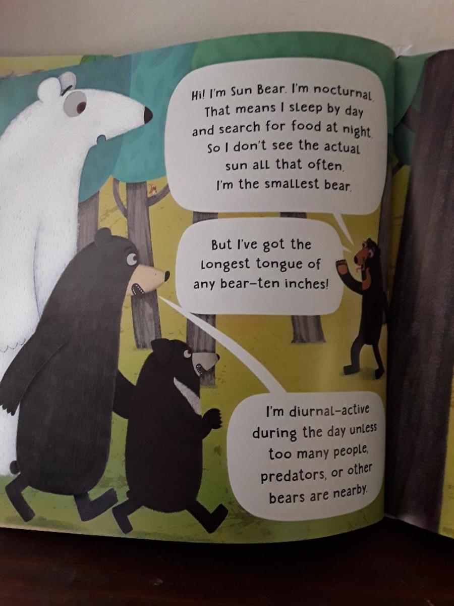 Bear Facts in Creatively Written Non-Fiction Picture Book for Young ...