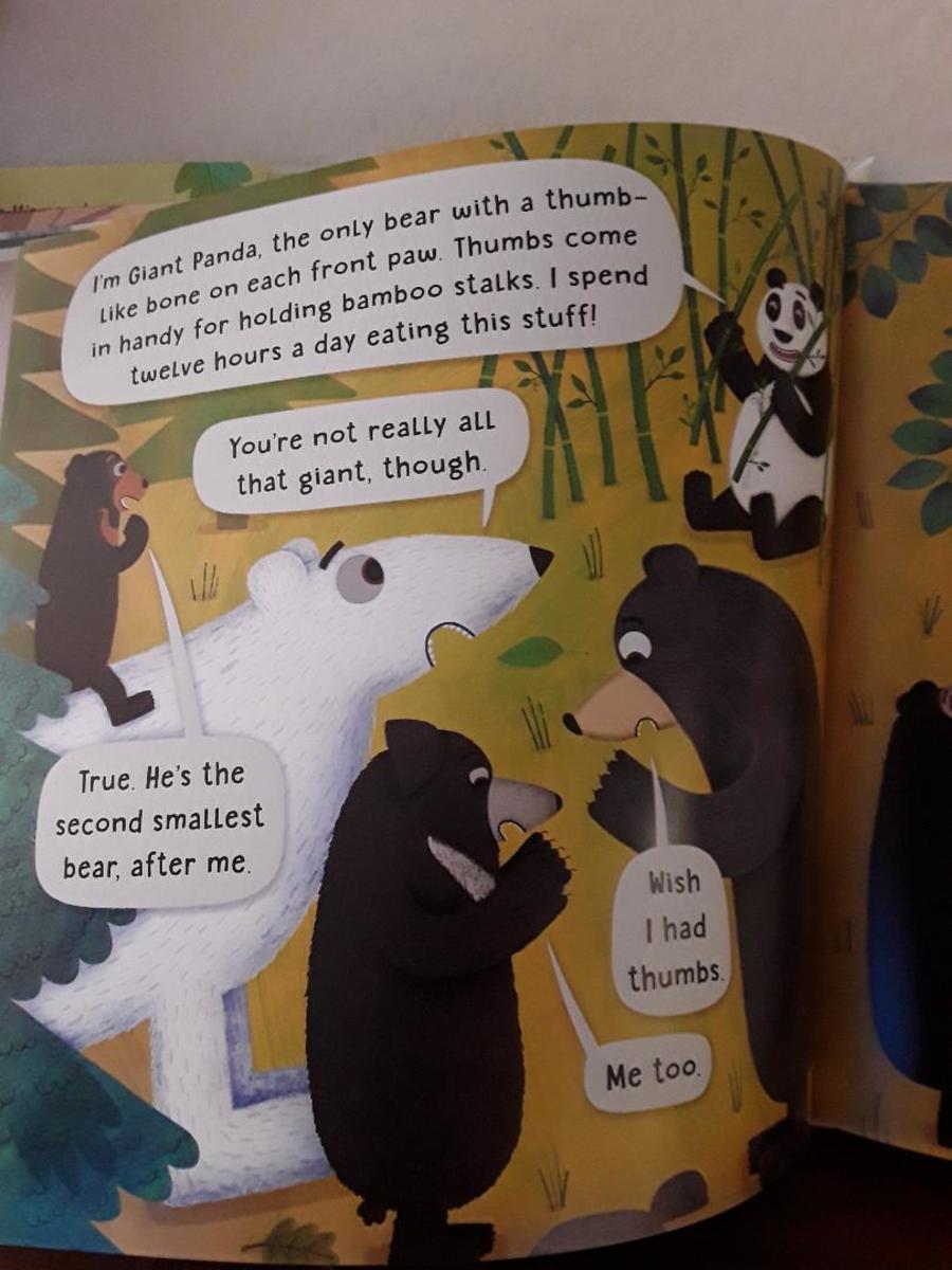 Bear Facts in Creatively Written Non-Fiction Picture Book for Young ...
