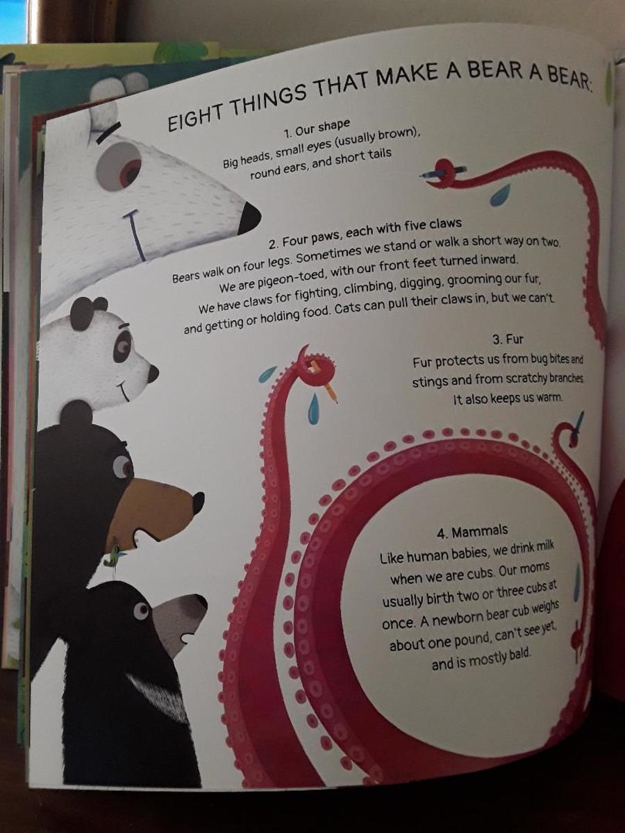 Bear Facts in Creatively Written Non-Fiction Picture Book for Young ...