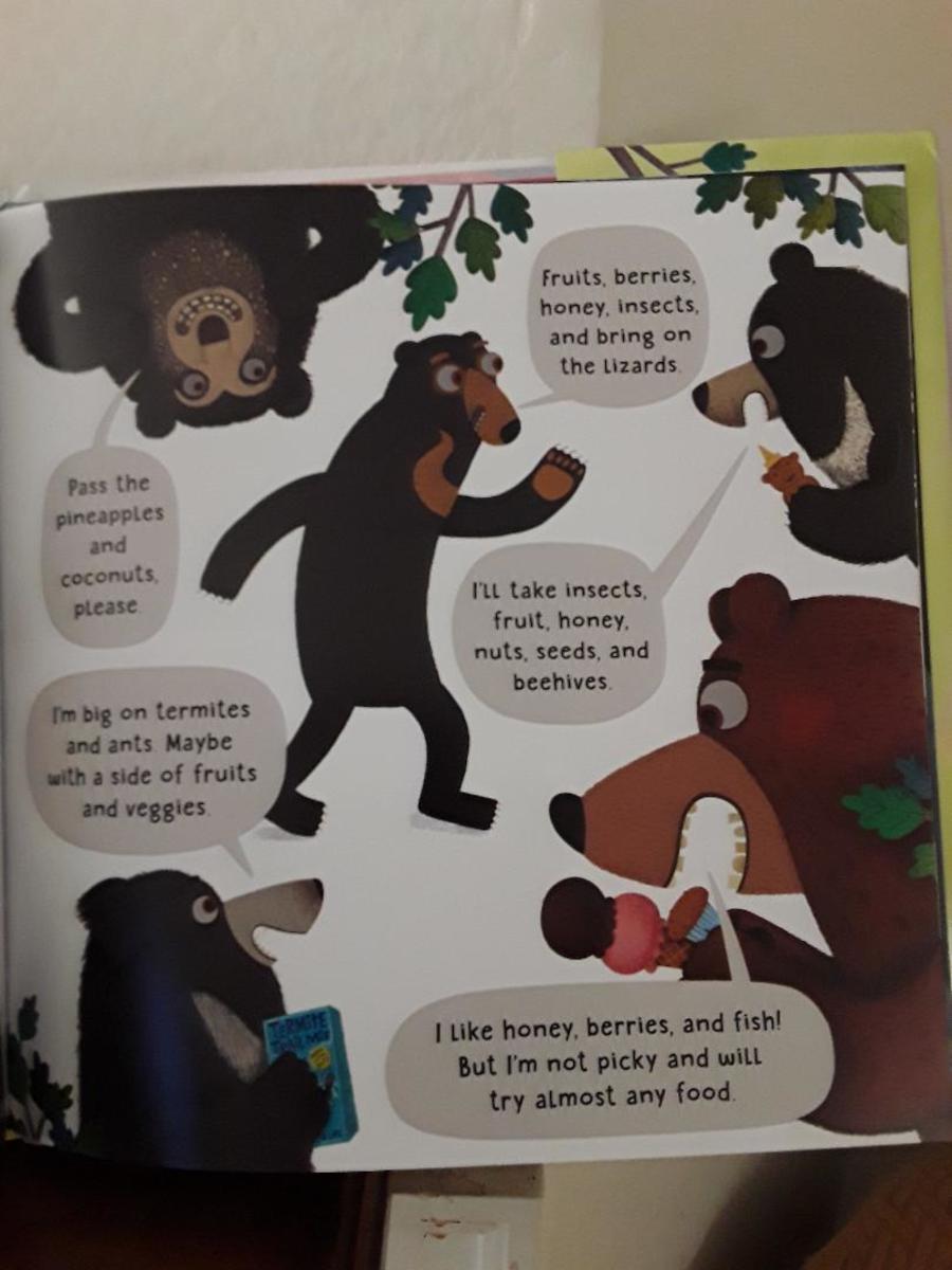 Bear Facts in Creatively Written Non-Fiction Picture Book for Young ...