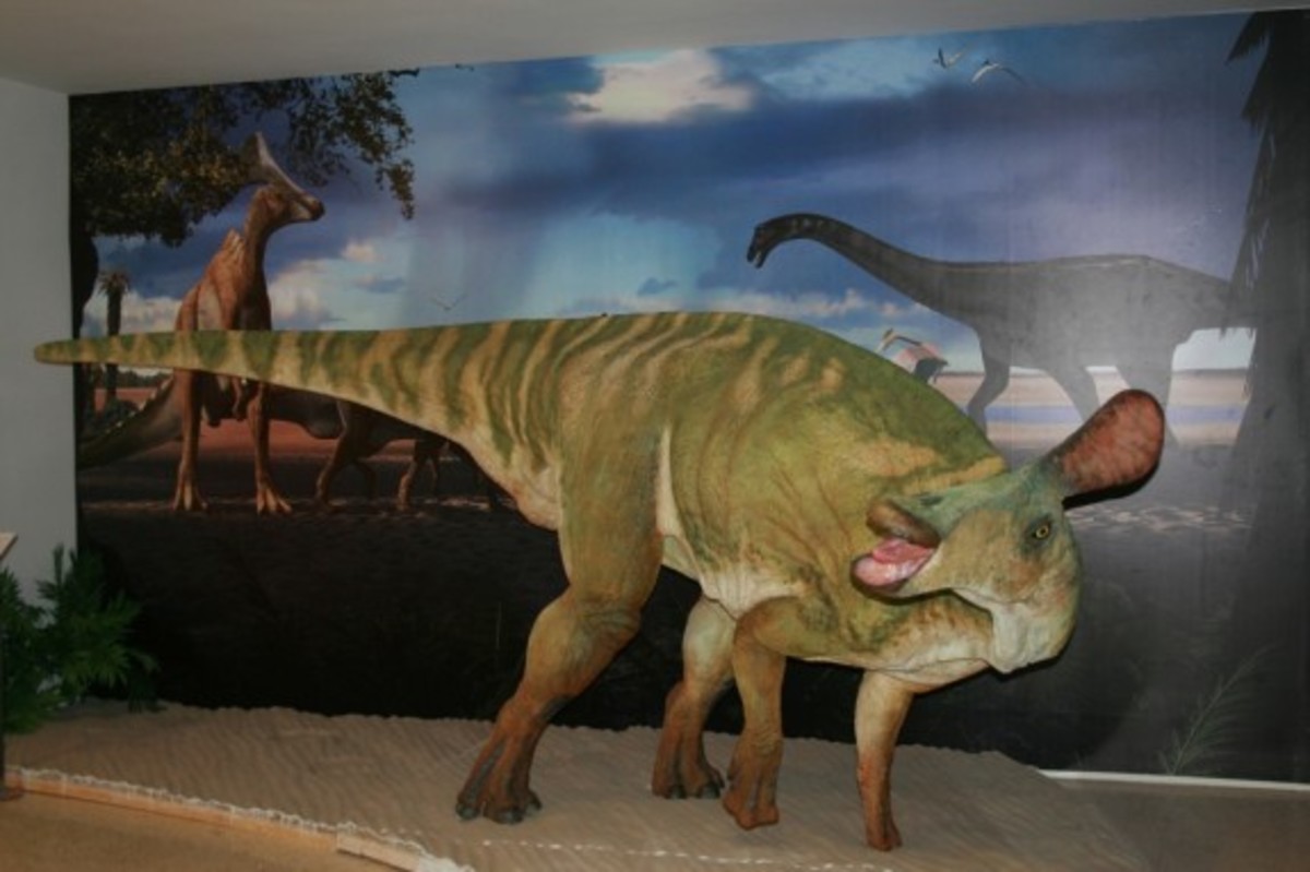 PaleoSpotlight: Spain - HubPages